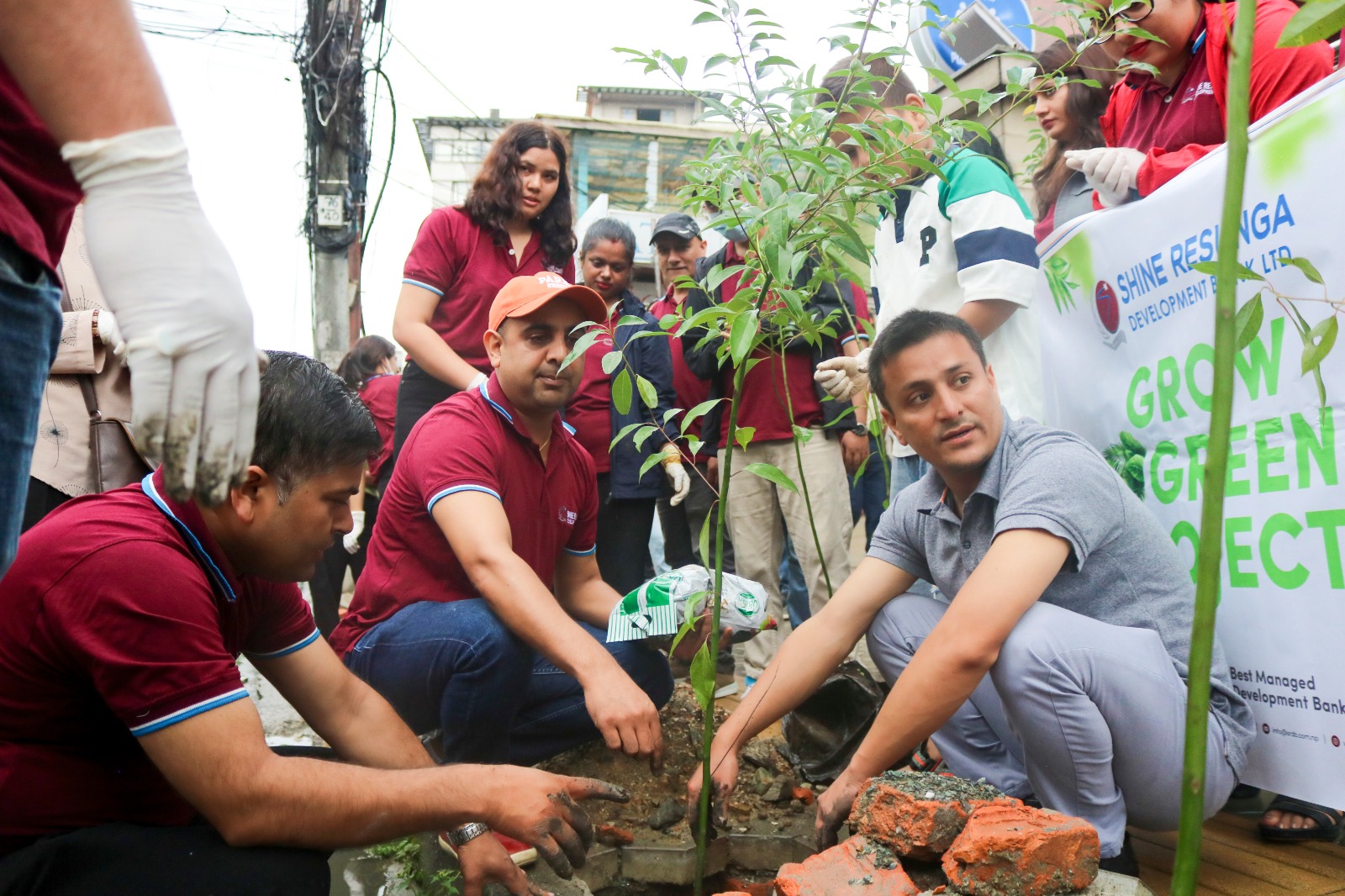 Shine Grow Green Project 2080