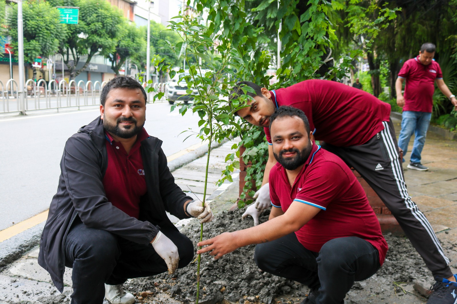 Shine Grow Green Project 2080