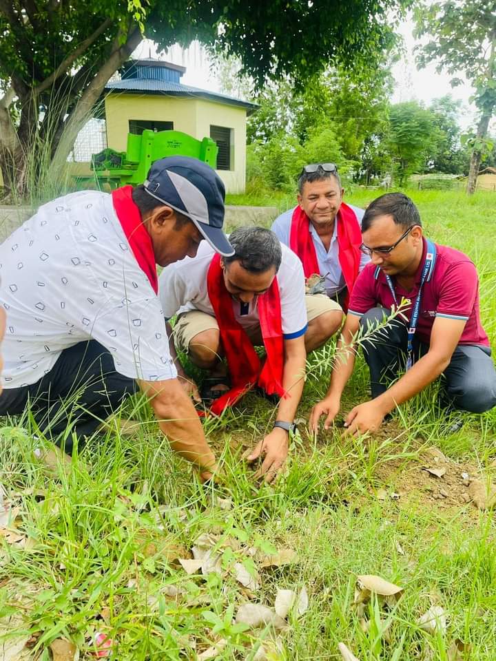 Shine Grow Green Project 2080