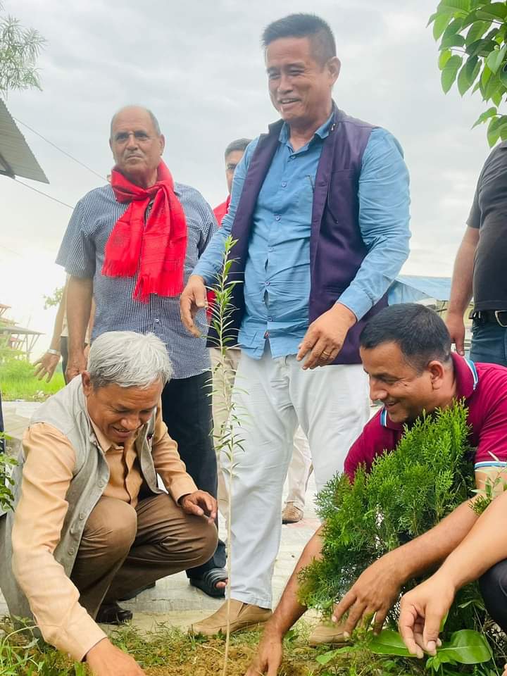 Shine Grow Green Project 2080