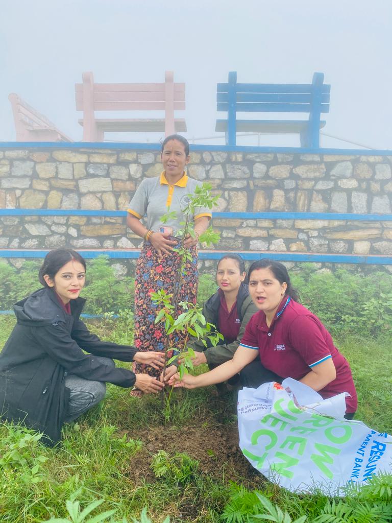 Shine Grow Green Project 2080