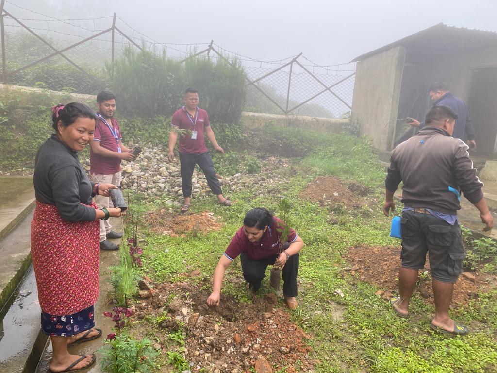 Shine Grow Green Project 2080