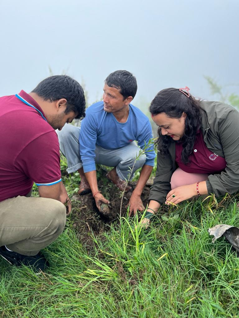 Shine Grow Green Project 2080